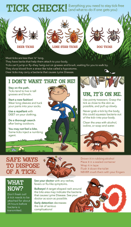 Tick Infographic for StarTribune – Cedric Hohnstadt Illustration